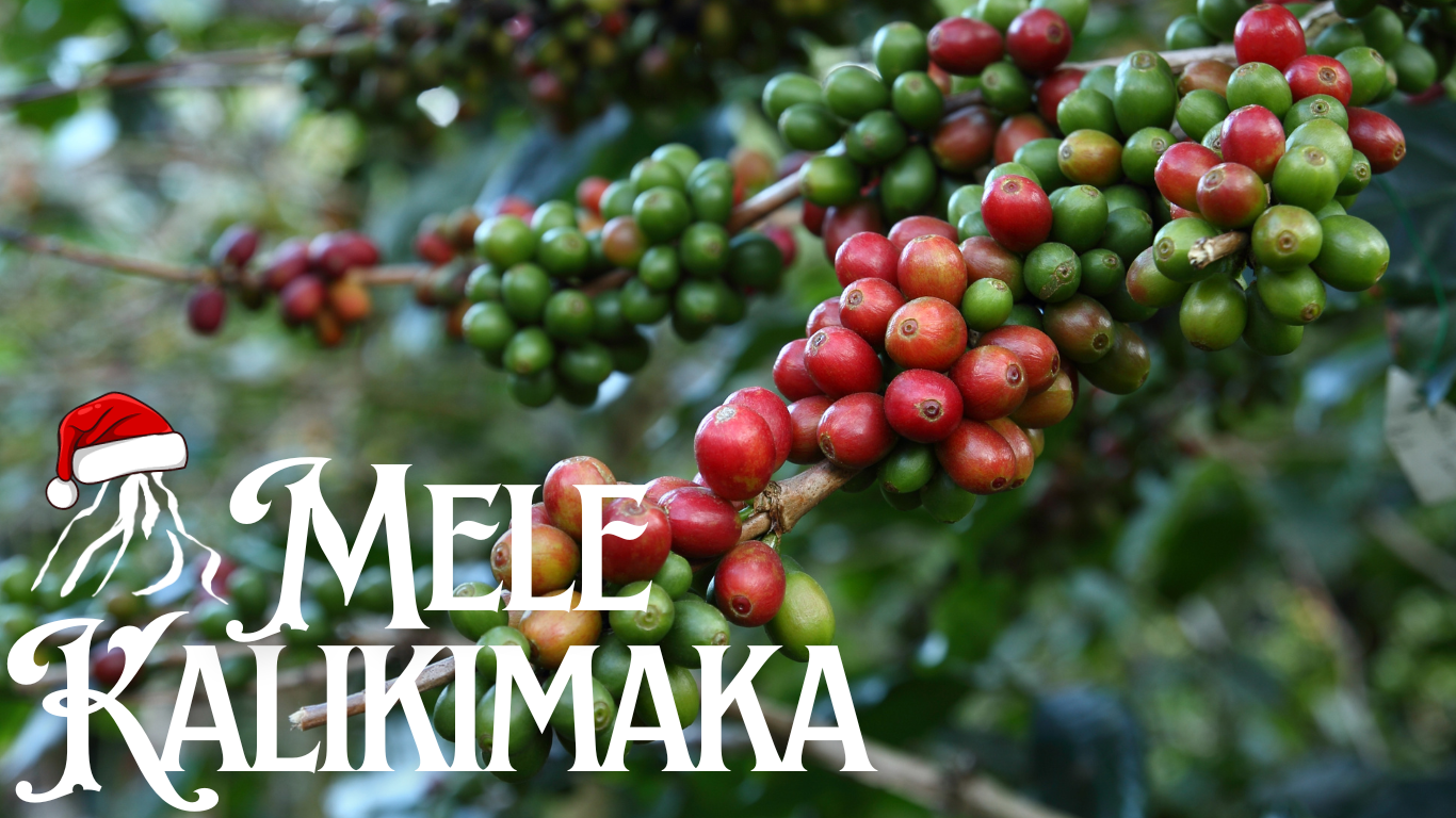 100% Kona Coffee from Kona Mountain Coffee